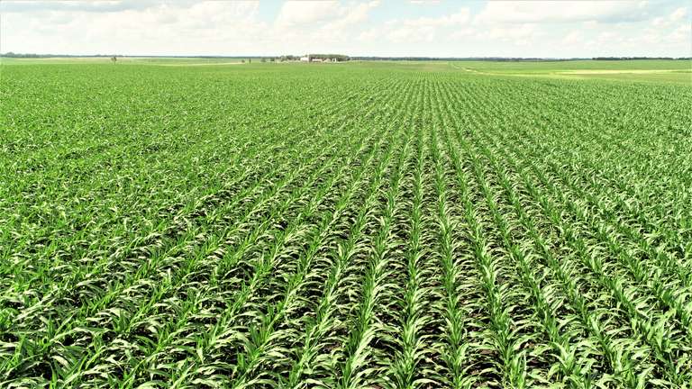 Prime Minnehaha Co. Crop Land for Rent - 754.2 Acres - Advantage Land ...