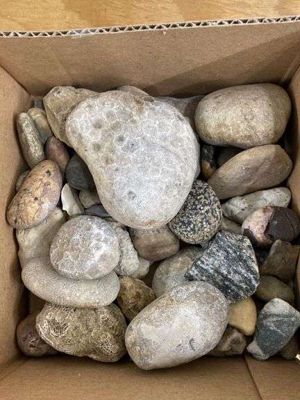 Box of cool rocks, Petoskey stones, etc. 3b - Lil Dusty Online Auctions ...