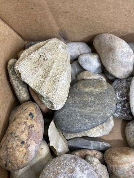 Box of cool rocks, Petoskey stones, etc. 3b - Lil Dusty Online Auctions ...