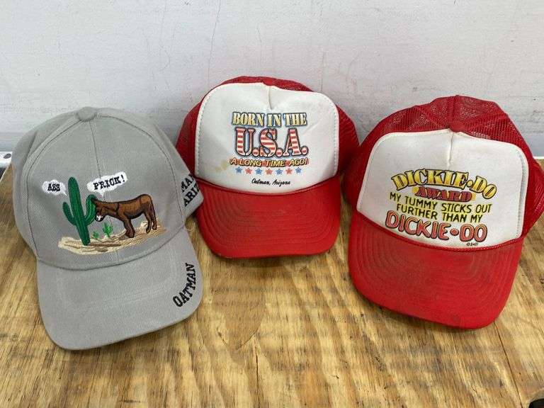 Fun baseball caps. 5c - Lil Dusty Online Auctions - All Estate Services ...