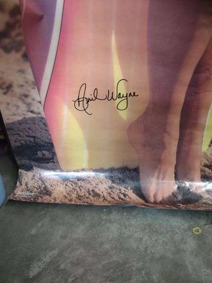 1986 April Wayne signed poster 25"×75 1/2" - Lil Dusty Online Auctions ...