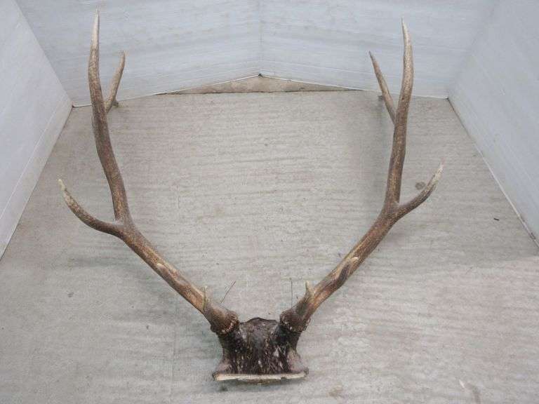 Elk Rack - Albrecht Auction Service