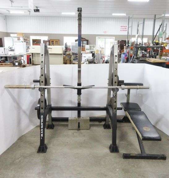Golds Gym Weight Bench and Rack with 320 lbs. of Weight, and a 45 lb ...