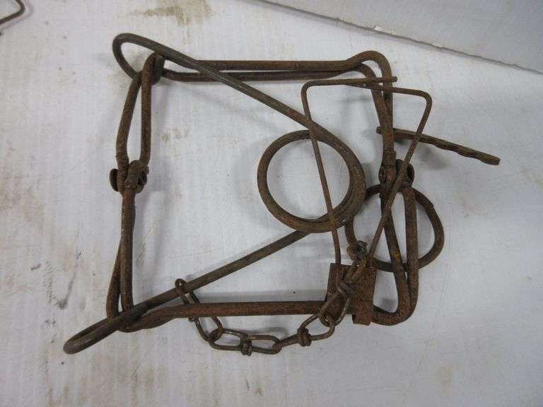 (3) Conibear Traps, Model 110 - Albrecht Auction Service