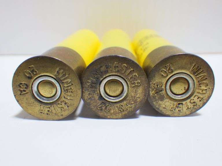 (18) 12-Gauge shotgun shells, and (2) 20-Gauge shotgun shells ...