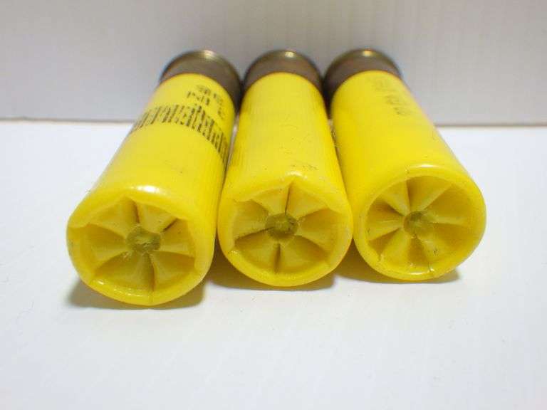 (18) 12-Gauge shotgun shells, and (2) 20-Gauge shotgun shells ...