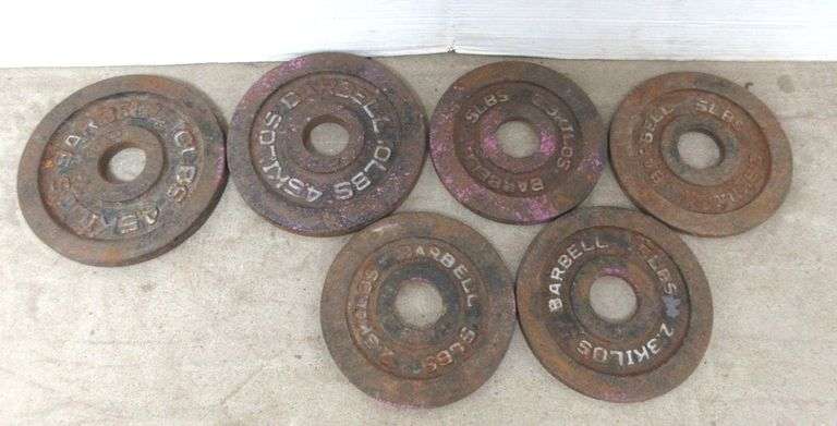(2) 10 lb Plates, and (4) 5 lb plates, rusty - Albrecht Auction Service