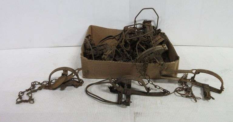 (12) Muskrat traps, spring type, 3-need to be repaired, 8"W x 3"H ...