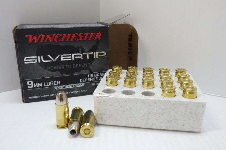 (20) Rounds of Remington Silver Tip 9mm Luger Defense ammo, 115-grain ...