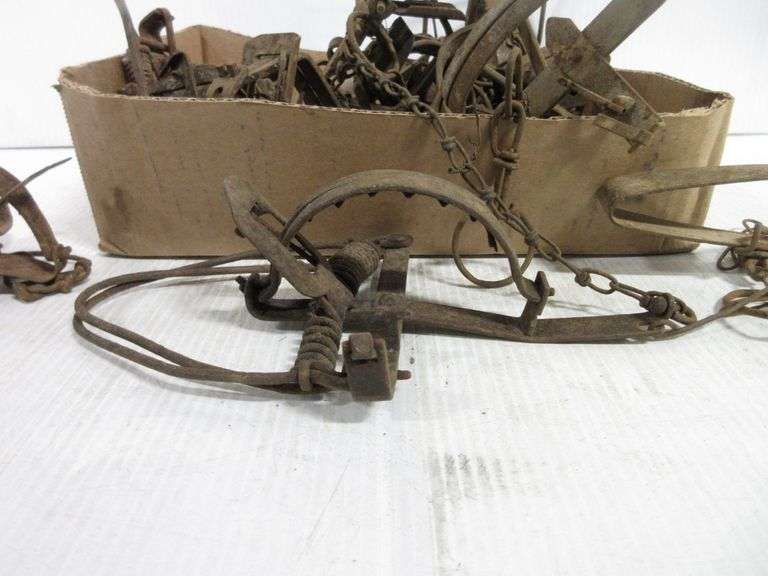 (12) Muskrat traps, spring type, 3-need to be repaired, 8"W x 3"H ...