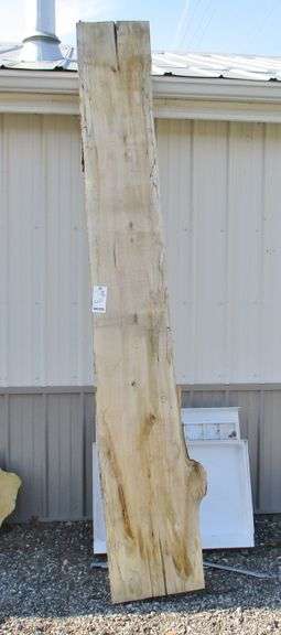 Spalding Maple, Live Edge, Rough Sawn, 16" to 20"W x 3"Thick x 9'10"L ...
