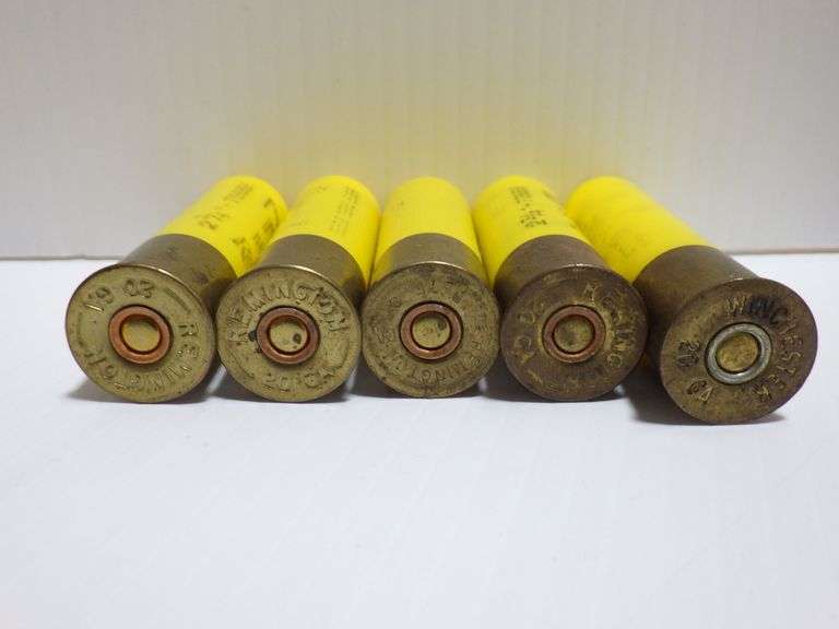 (18) 12-Gauge shotgun shells, and (2) 20-Gauge shotgun shells ...