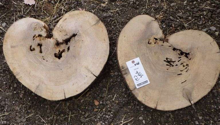 (2) Ash Heart Shape, Live Edge Rough Sawn, 18" to 20"W x 3"Thick, size ...