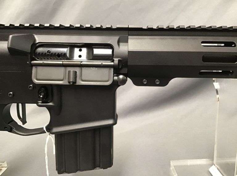 PSA Beowulf .50 cal., very powerful, There will be a $5 processing fee ...