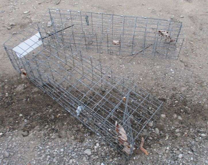 (2) Muskrat traps - Albrecht Auction Service