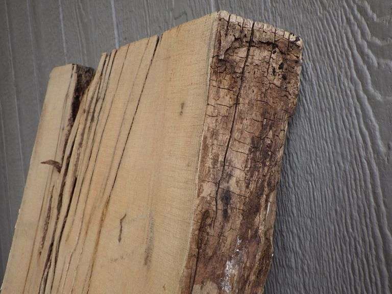 Black Locust Live Edge Rough Sawn, 15" to 16"W x 2 1/2"Thick x 78"L ...