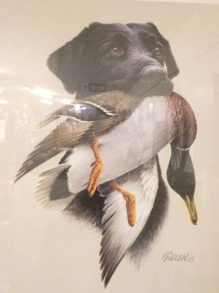 Ducks Unlimited black lab and mallard print, by James Killen, No. 572/ ...