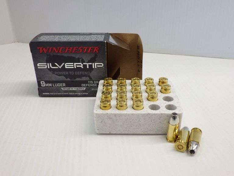 (20) Rounds of 9mm Luger silvertip ammo, 115-grain hollow points ...