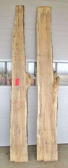 (2) Spalding maple live edge rough sawn wood pieces: One- 11" to 16"W x ...