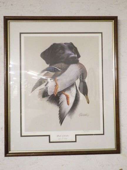 Ducks Unlimited black lab and mallard print, by James Killen, No. 572/ ...