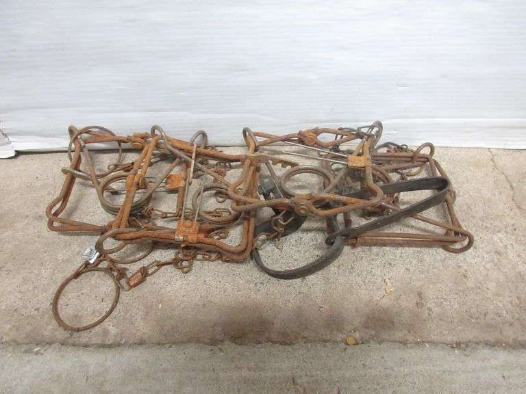 (4) 110 Conibear traps, one trap needs trip wire, work well; Leg trap ...