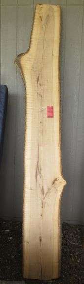Horse chestnut, live edge, rough sawn wood, size varies, 15" to 21"W x ...