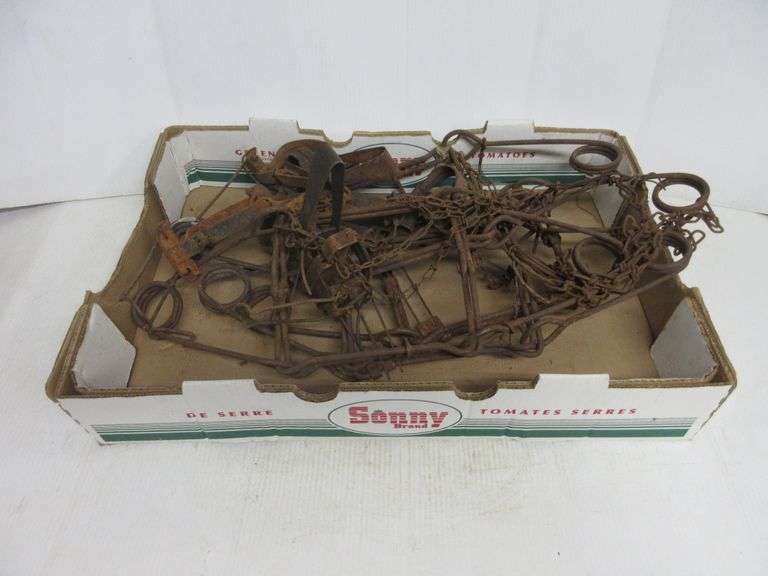 (4) Conibear no. 220 body grip traps, and (6) Leg hold traps - Albrecht ...