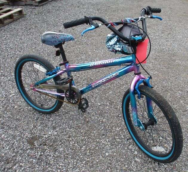 Genesis 20" girls bike, in good condition, everything works - Albrecht ...