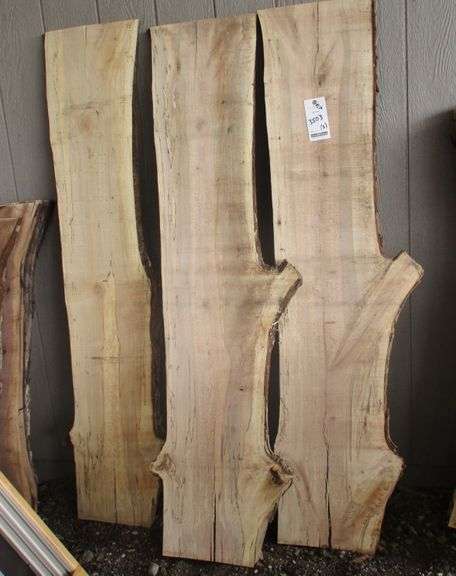 (3) Spalding maple fireplace mantels, live edge, rough sawn: 13" to 18 ...