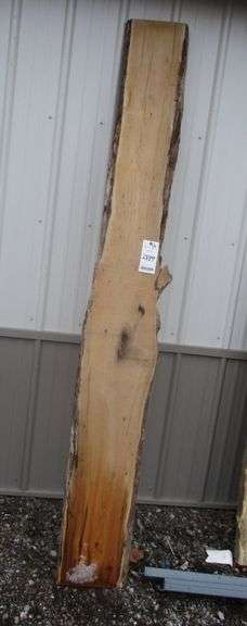 Black locust live edge rough sawn wood, 11" to 13"W x 1 1/2"Thick x 93 ...