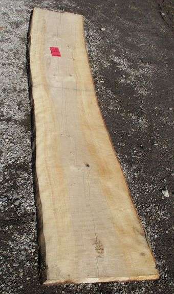 Rough cut live edge beech boards, 15"W x 2"Thick x 8'L, as is - Albrecht Auction Service