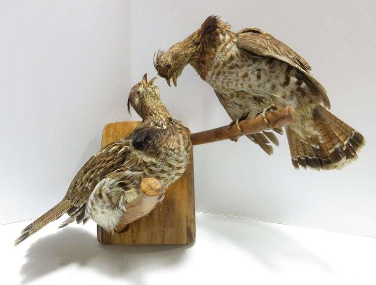 Two Partridge Wall Mount, 21"W from tip of tail, in good condition ...