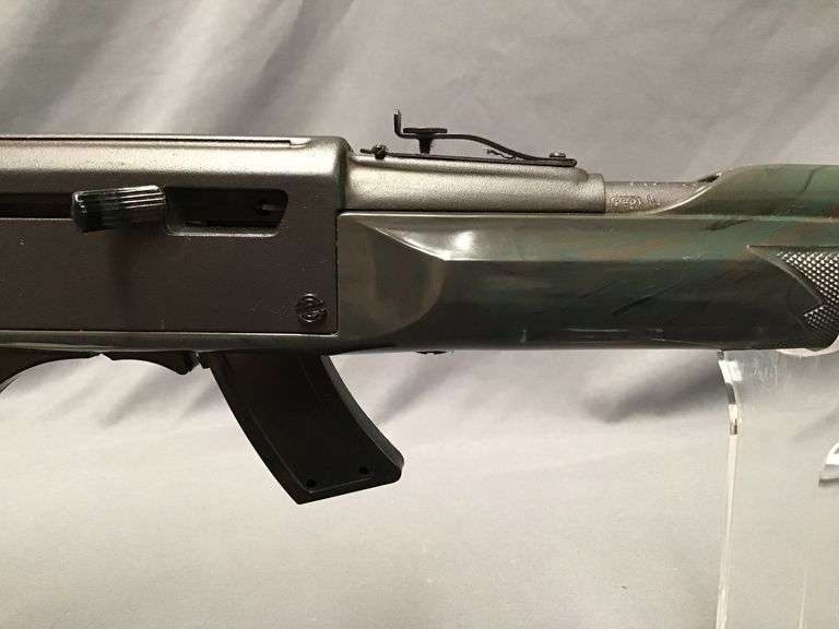 Remington Apache 77 .22 LR, with Green Stock and Magazine - Albrecht ...