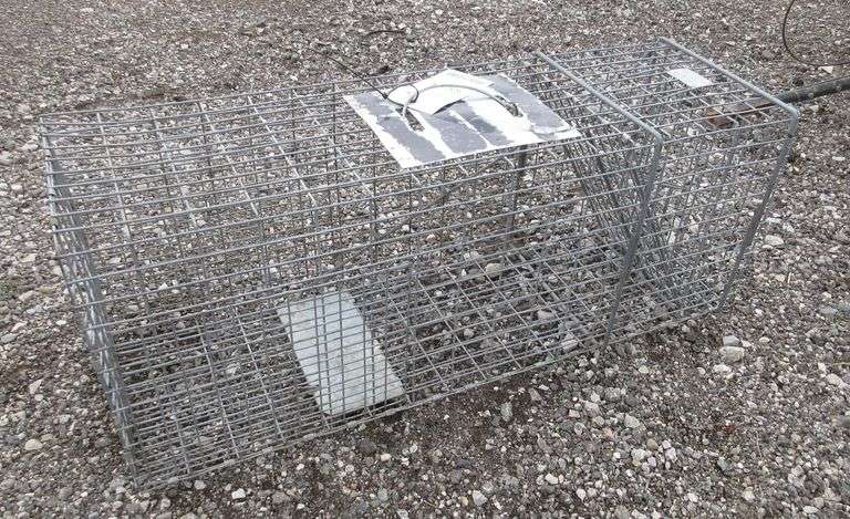 Tomahawk live trap, used, works - Albrecht Auction Service