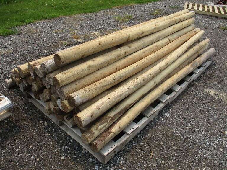 (50) 8' Cedar posts - Albrecht Auction Service