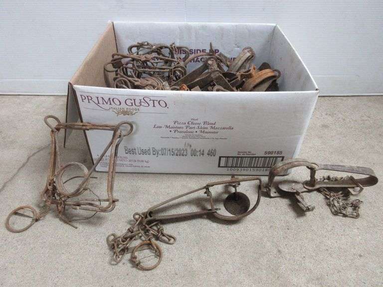 Box of traps, includes: (11) Leg traps in two different sizes, and 14 ...