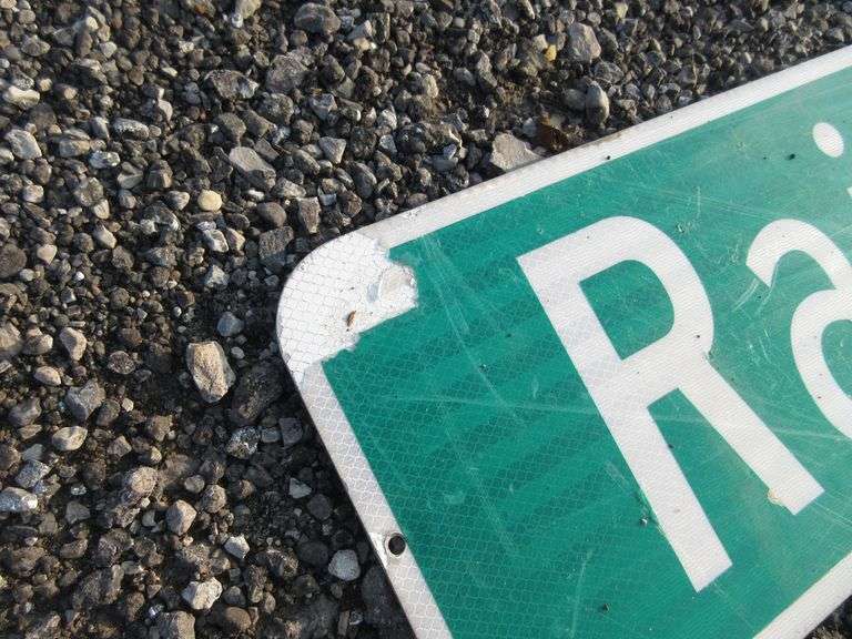 Rain Tree Dr street sign, 42" x 9", has wear/scratches - Albrecht ...