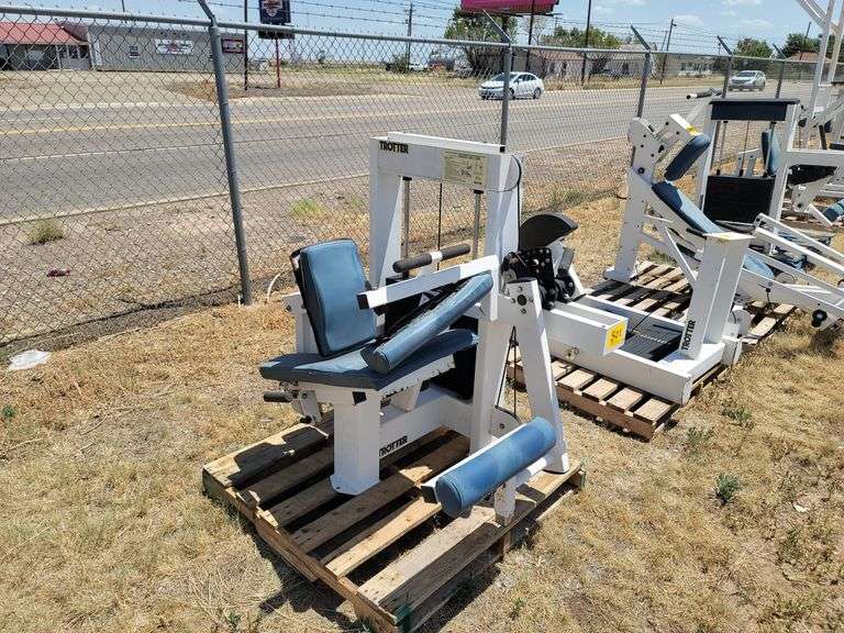 Trotter Galileo Seated Leg Curl Machine - Assiter Auctioneers