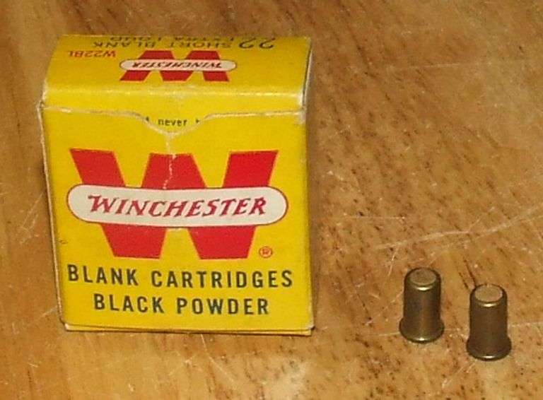 50 Rounds Winchester 22 Short Blanks - Baer Auctioneers - Realty, LLC