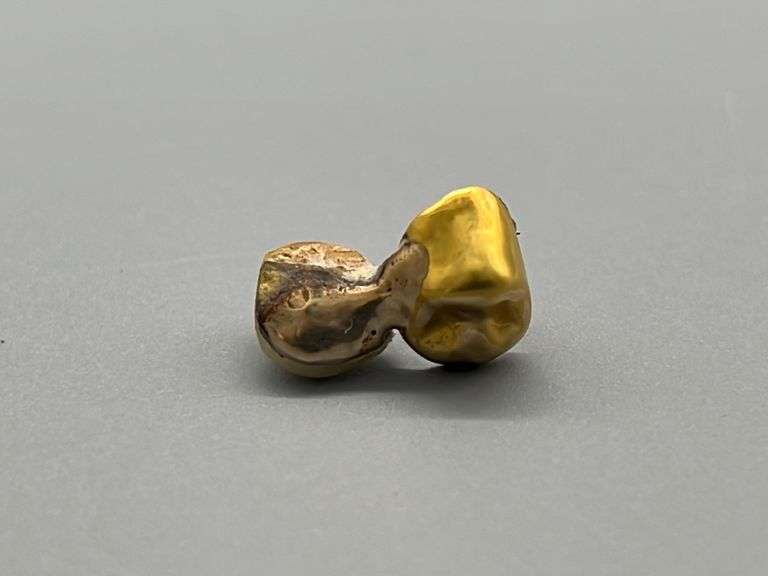 Gold Tooth Filling - Baer Auctioneers - Realty, LLC