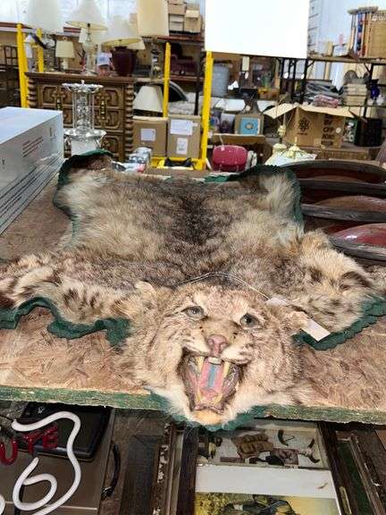 Bobcat Taxidermy Rug - Baer Auctioneers - Realty, LLC