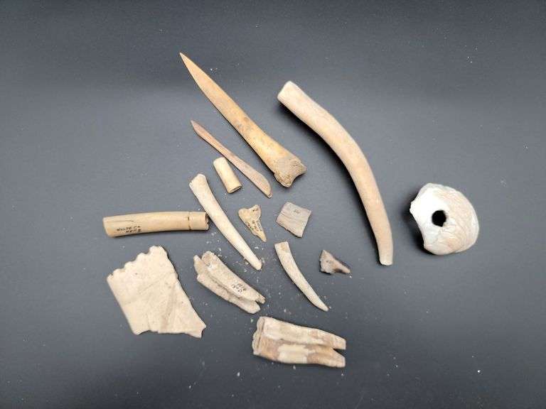Native American Animal Bones - Baer Auctioneers - Realty, LLC