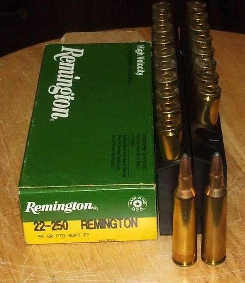20 Rounds Rem 22-250 Remington - Baer Auctioneers - Realty, LLC