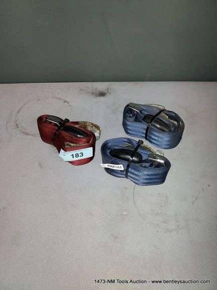 SCHOOL BUS OCCUPANT RESTRAINT STRAPS - SEAT BELTS ONLY (3X MONEY ...