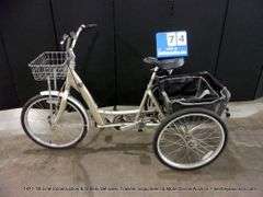 TREK ALPHA PURE DLX BEIGE TRICYCLE PLANT BIKE W/ BASKET, SEAT - Bentley ...