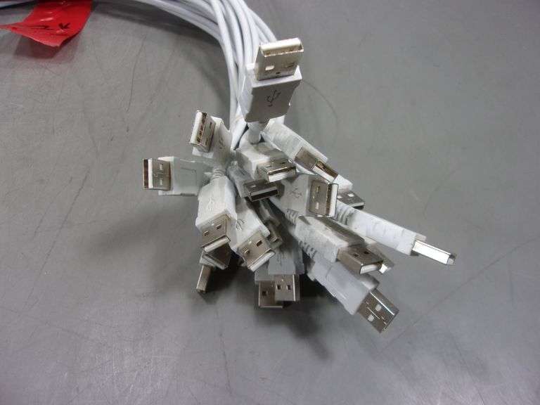 BUNDLE: 24 APPLE USB CONNECT CABLES - Bentley & Associates, LLC