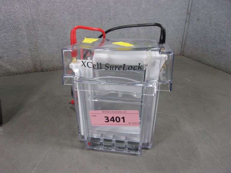 XCELL SURELOCK GEL BED MODEL: NOVEX MINI-CELL - Bentley & Associates, LLC
