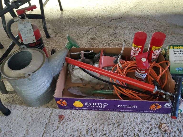 Foot air pump, extension cord, wasp killer, garden hand tools ...