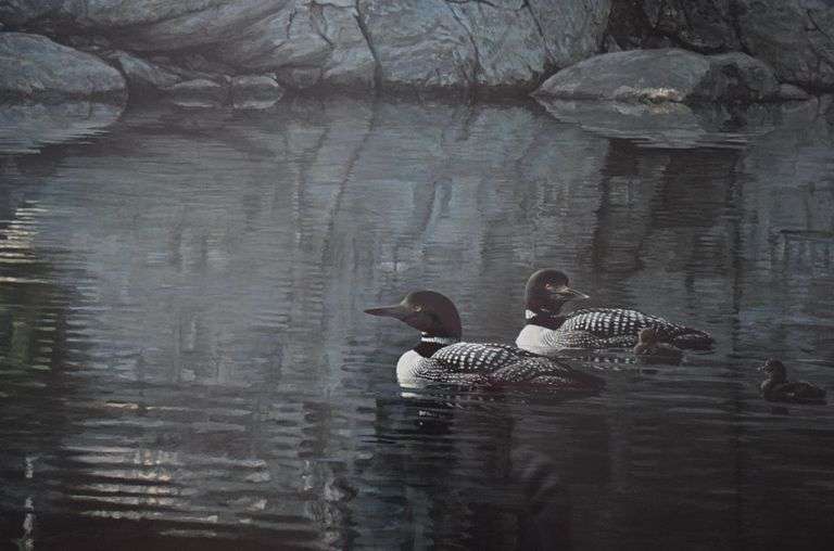 Northern Reflections - Loon Family, Robert Bateman - Bartlett Auctions Inc.