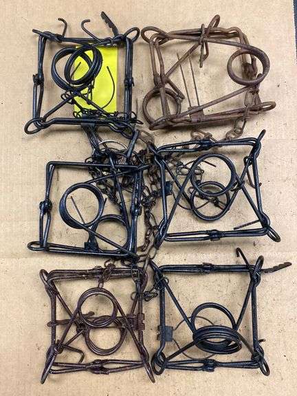 Lot of 6 - 110 Conibear DOUBLE Spring Traps Animal Foot - Bartkus ...